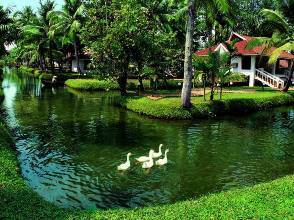 Kerala real estate properties for sale commercial residential agricultural
